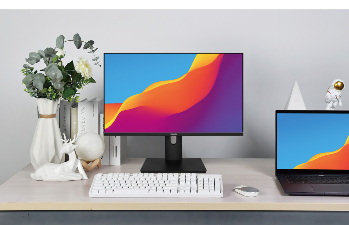 Aiwa Monitor: A Potent Visual Pleasure Tool - AIWA